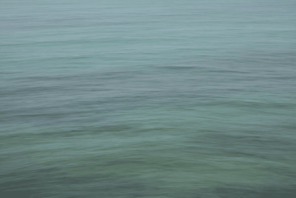 The Relational Trauma Recovery Guide for Driven Women
