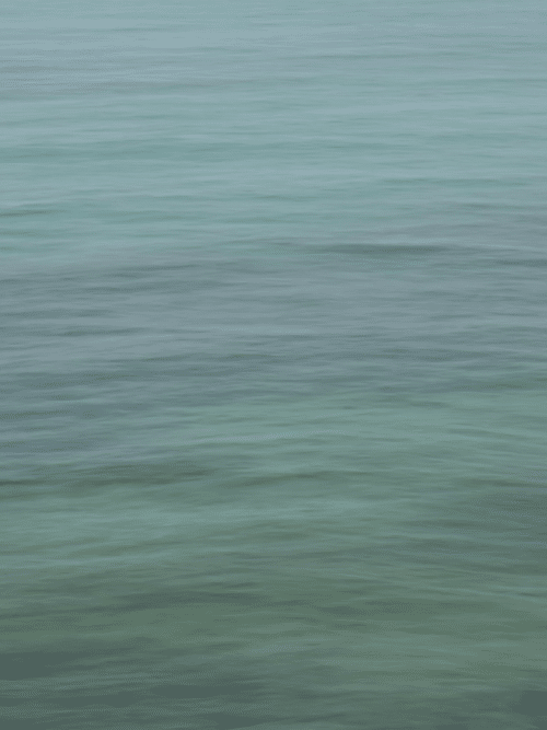 The Relational Trauma Recovery Guide for Driven Women