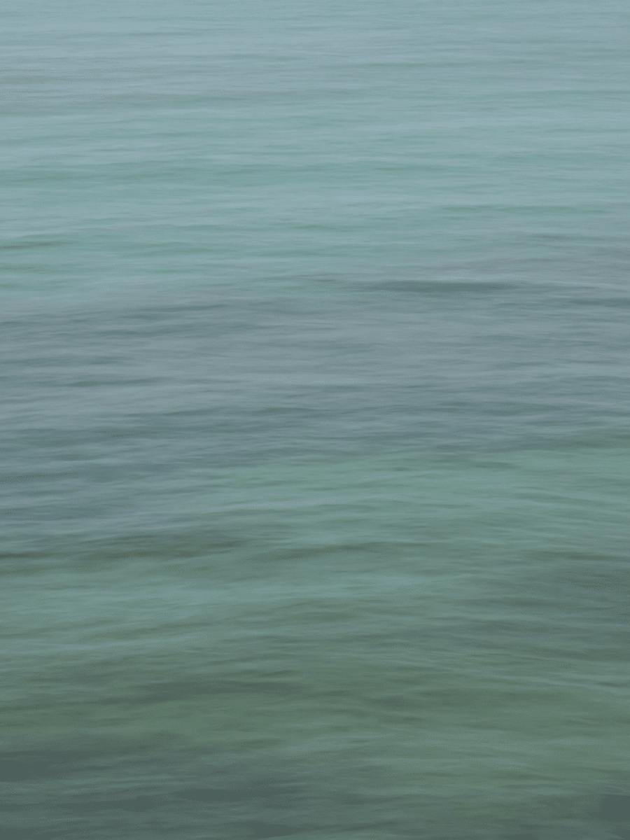 The Relational Trauma Recovery Guide for Driven Women