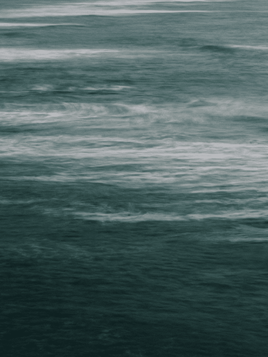 Fawning: The Trauma Response Disguised as People-Pleasing
